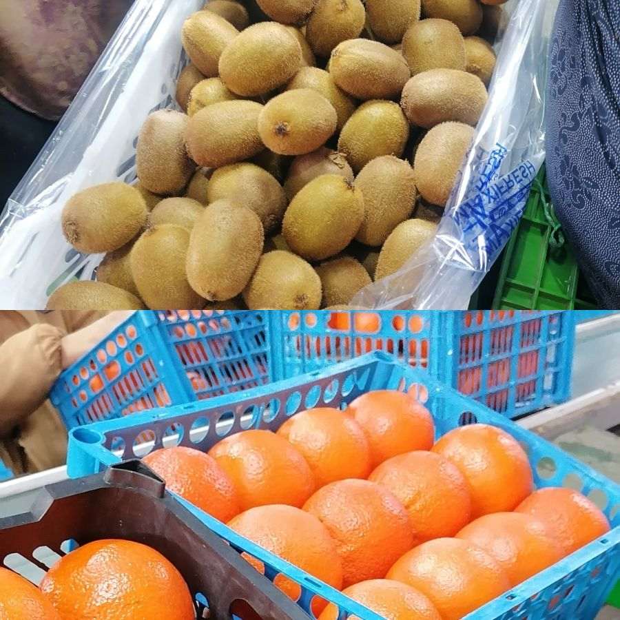 Iran Fruits Exporter: First-Hand in Iran Citrus and Kiwi - Caspian Fruits