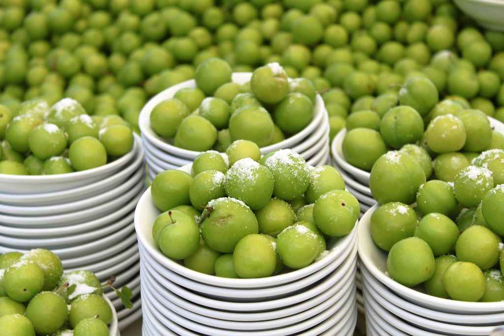 All About Iran Fruits: The Season & Regions of Fruits in Iran - Caspian ...