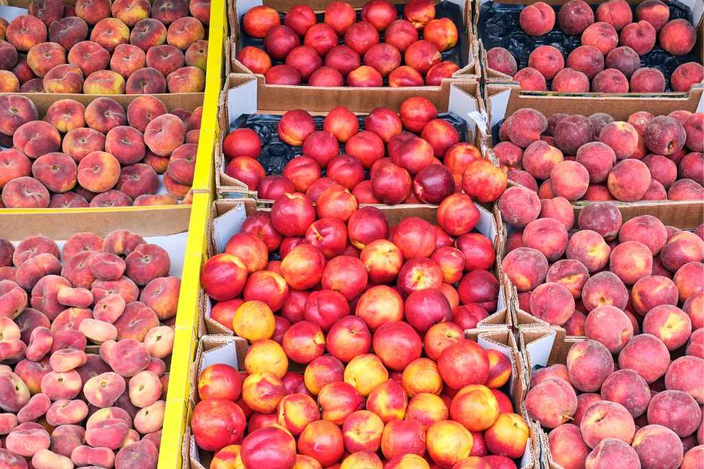 All About Iran Fruits: The Season & Regions of Fruits in Iran - Caspian ...